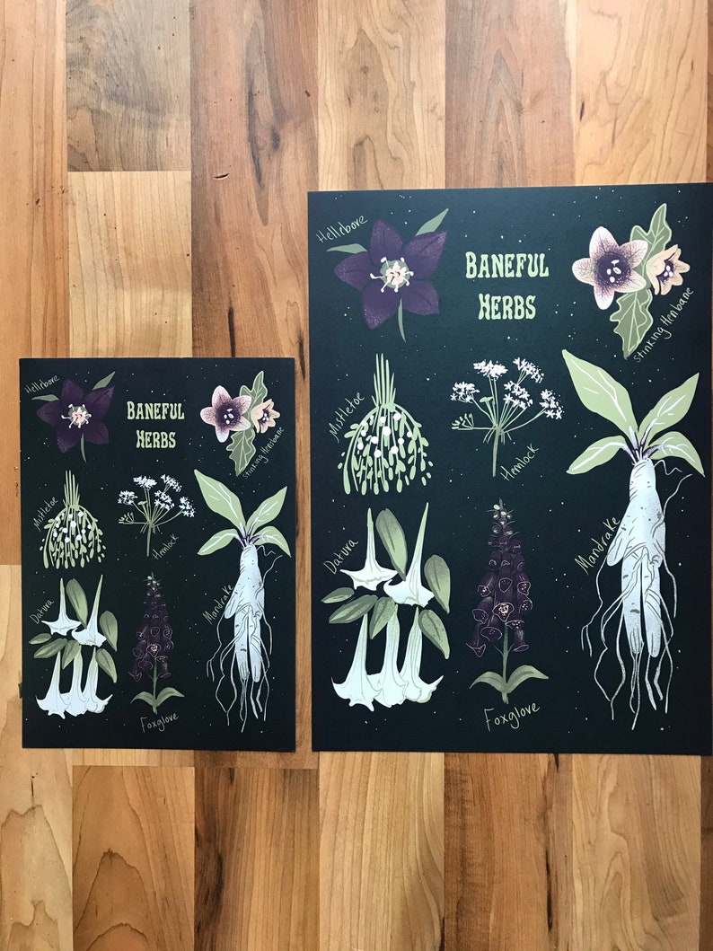 Baneful Herbs Botanical Poster (2 Sizes)- Poisonous Plants, Witchcraft ...