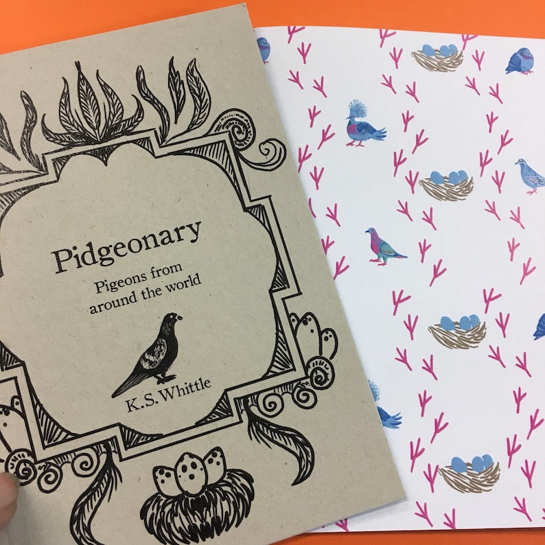 Pidgeonary a Pigeon Appreciation Book Pigeon Gifts Zine | Etsy UK