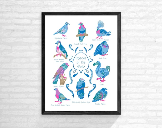 Pigeons of the World A3 Neon 4 Colour Risograph Poster, Birds, Pigeon ...