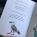 Seagulls: A Cliff Note, a Gull Conservation Zine. Bird Art, Art Book ...