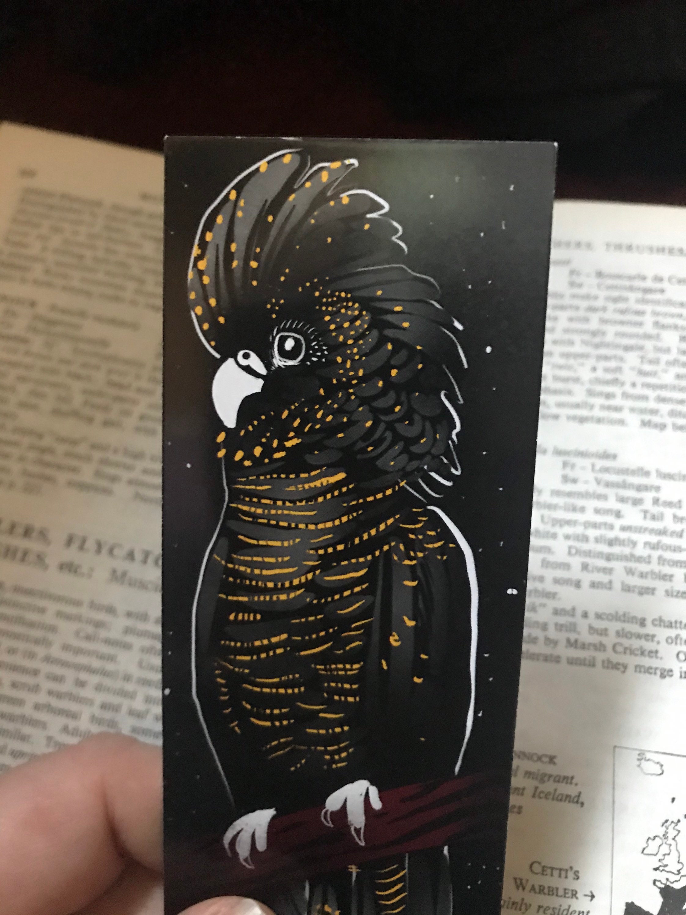 Red-tailed Black Cockatoo Bookmark 52x148mm Bird Bookmark - Etsy UK