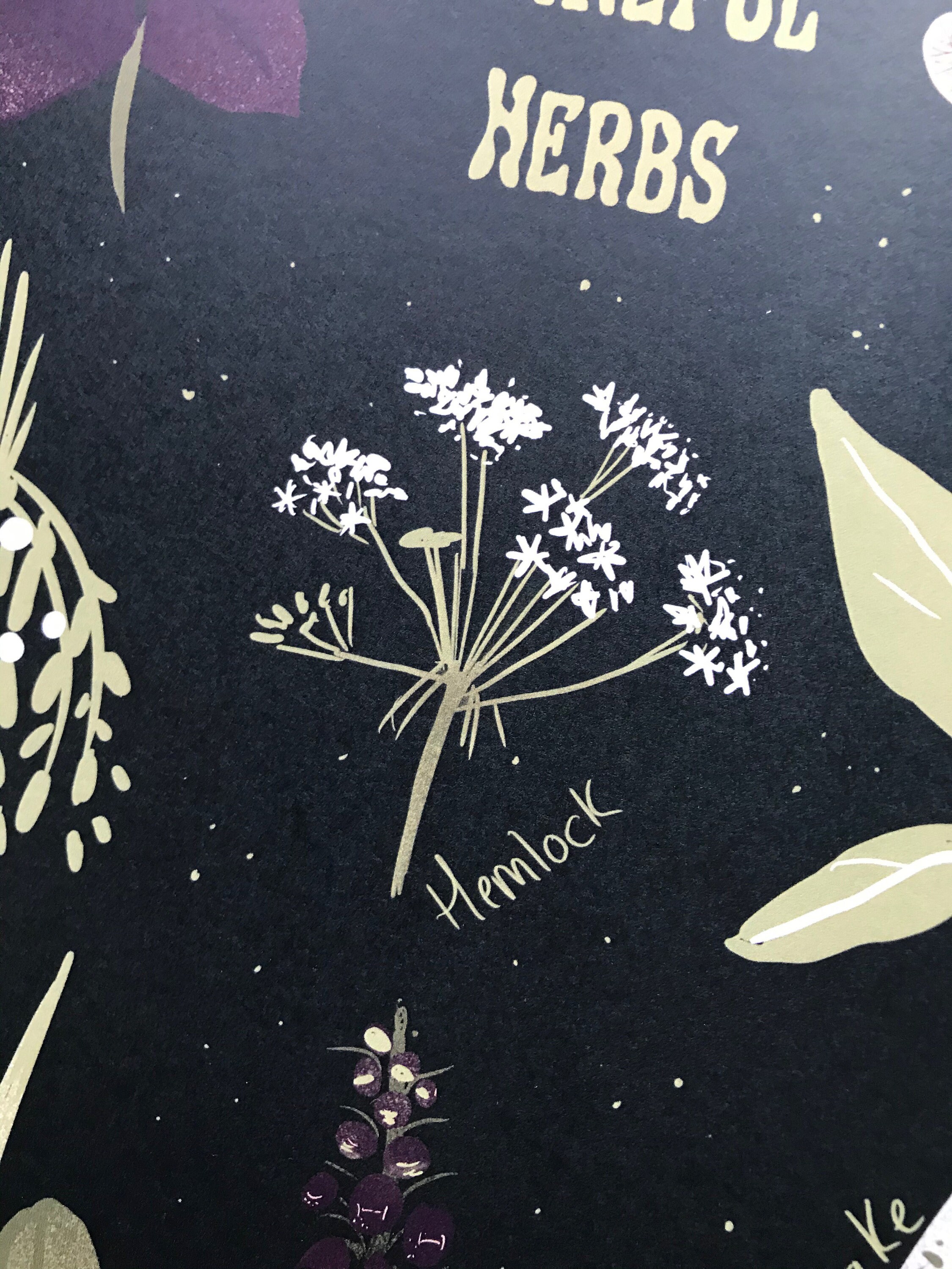 Baneful Herbs Botanical Poster 2 Sizes Poisonous Plants | Etsy UK