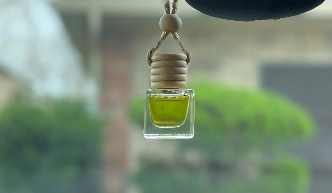 Hanging Car Diffuser, Oil Diffuser Air Freshener, Scent Diffuser for ...