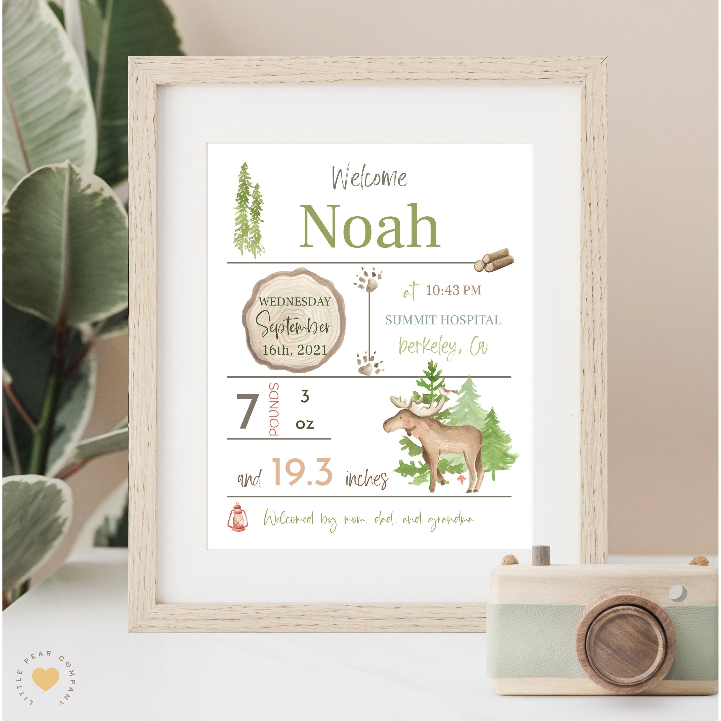 Printable Forest Newborn Baby Birth Information Stat Sign, Woodland ...