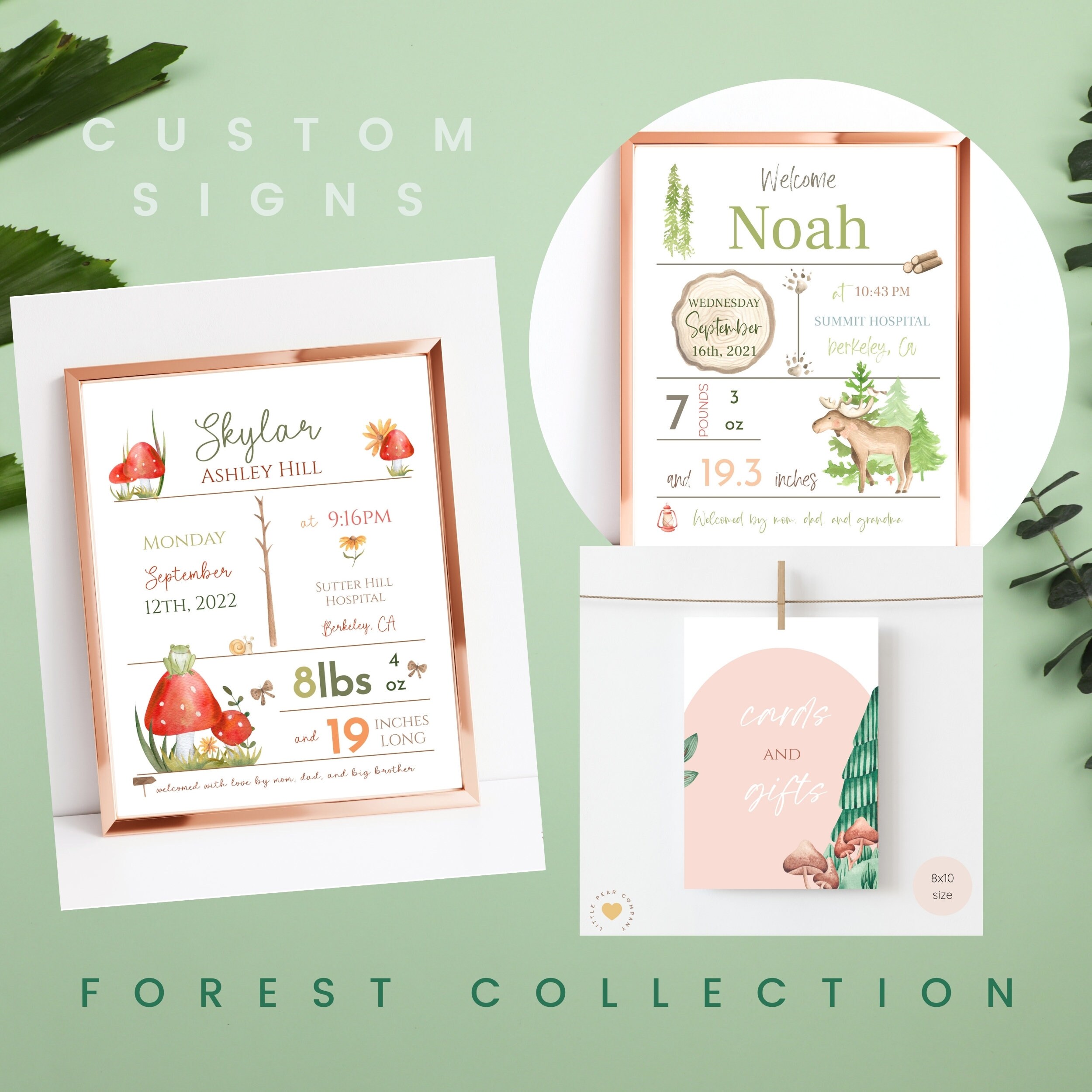 Dragon Newborn Baby Birth Information Stat Sign, Woodland Forest Birth ...