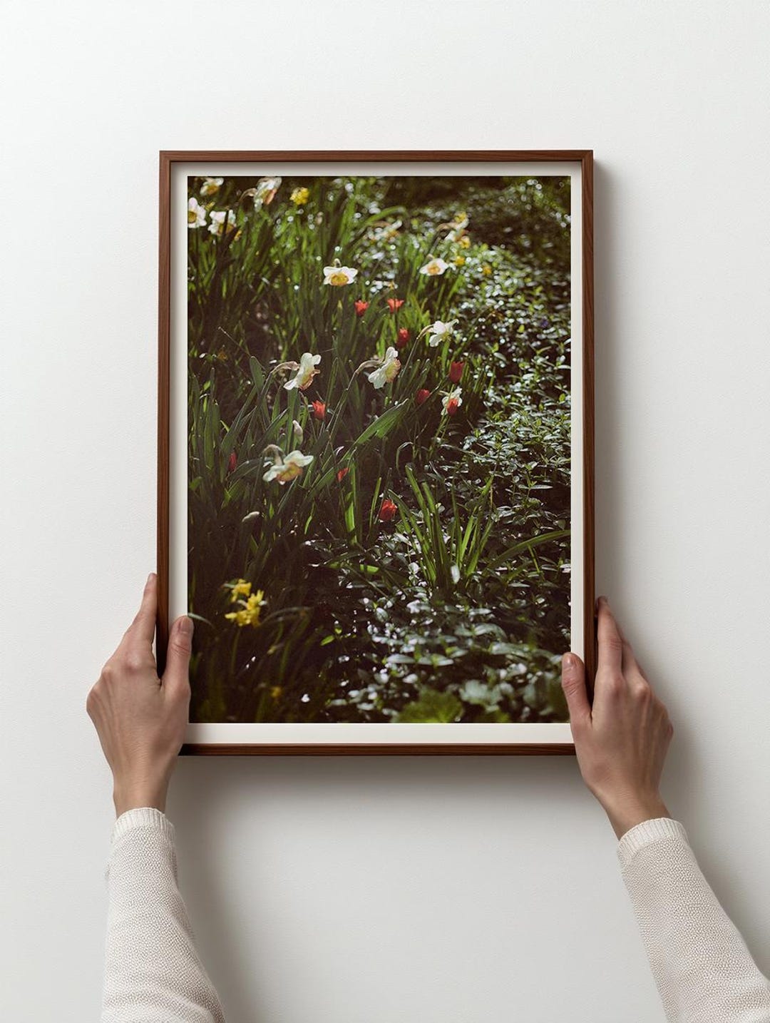 Daffodils Red Tulips Spring Garden Photography Print, Floral Botanical ...