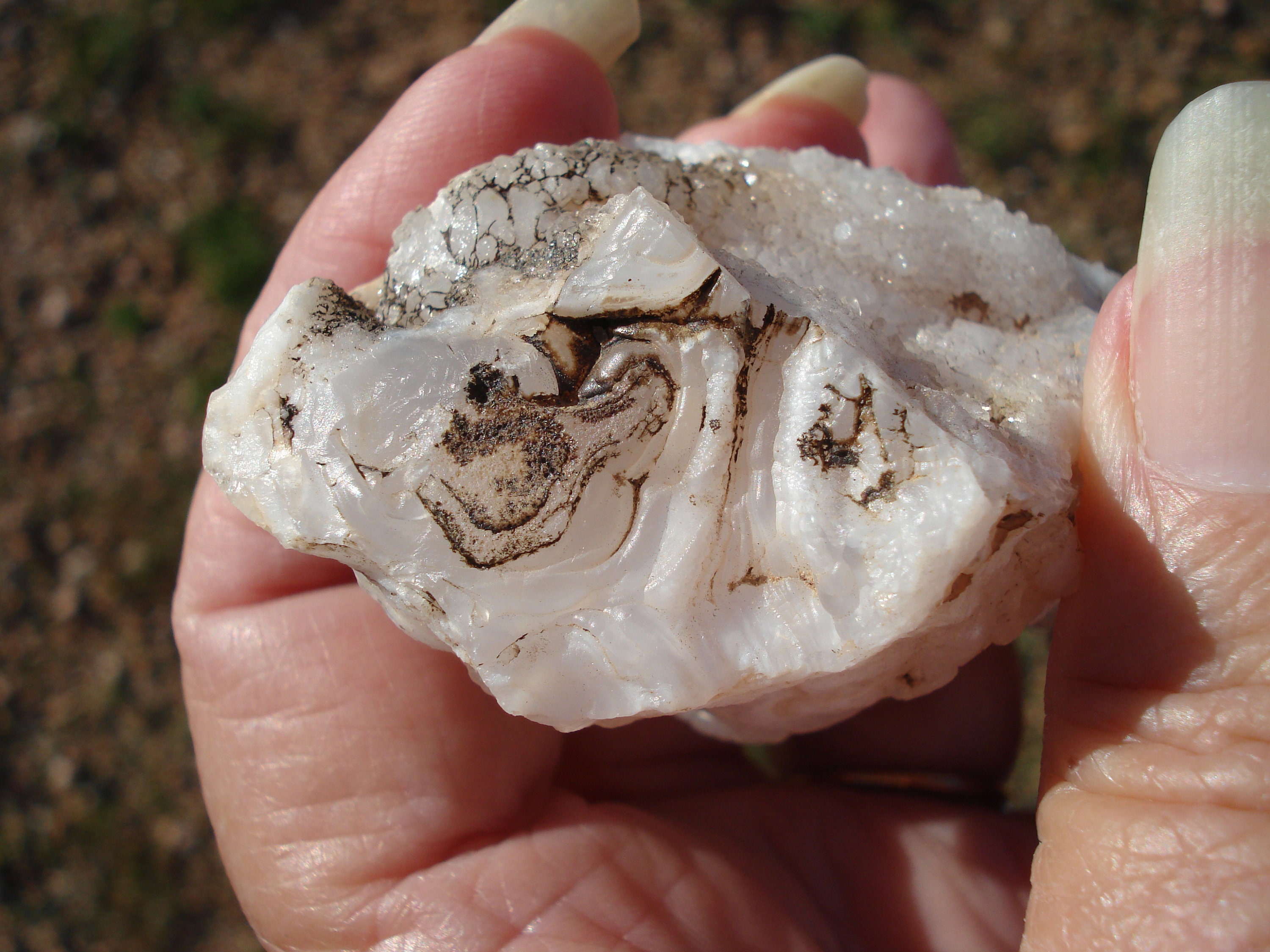 White Botryoidal Chalcedony Stone With Crystals Raw Arizona - Etsy