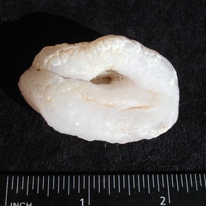 White Botryoidal Chalcedony Desert Rose Stone, Raw Arizona Gemstone ...