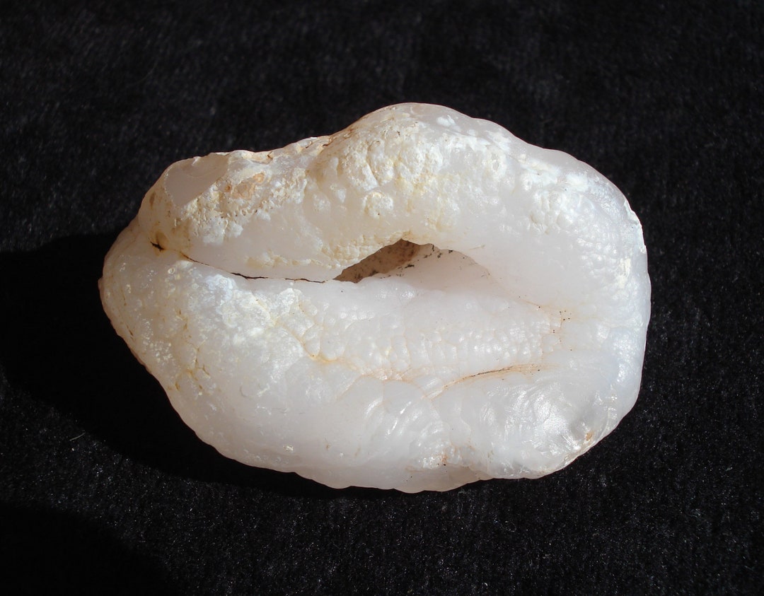 White Botryoidal Chalcedony Desert Rose Stone, Raw Arizona Gemstone ...