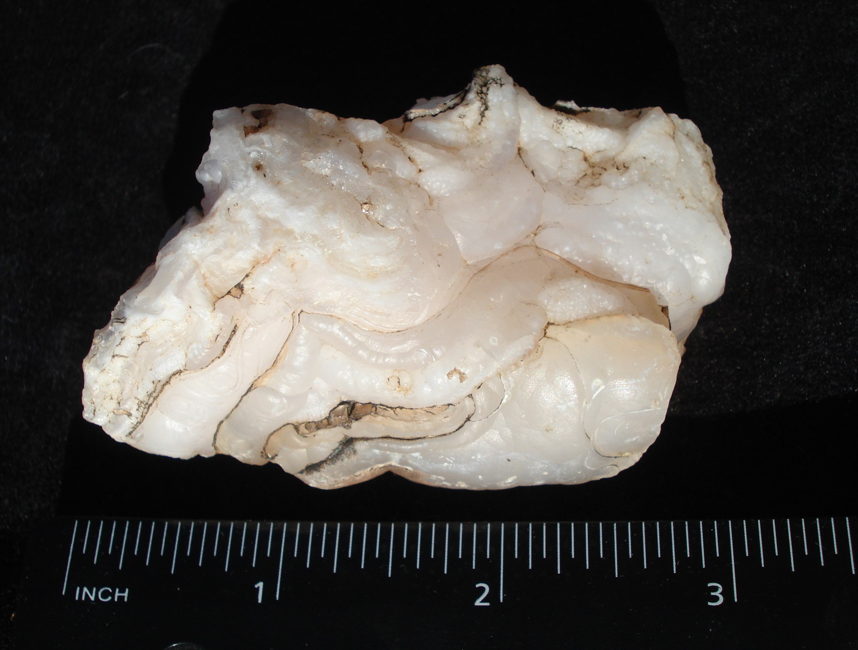 White Botryoidal Chalcedony Stone With Crystals Raw Arizona - Etsy