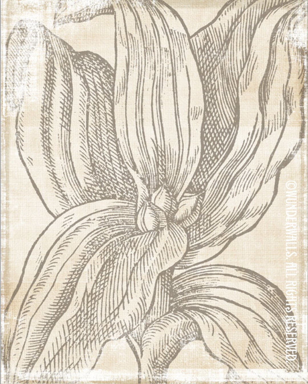 Flower Bud on Washed Linen Large 16" X 20" Canvas-wrapped Frame ...
