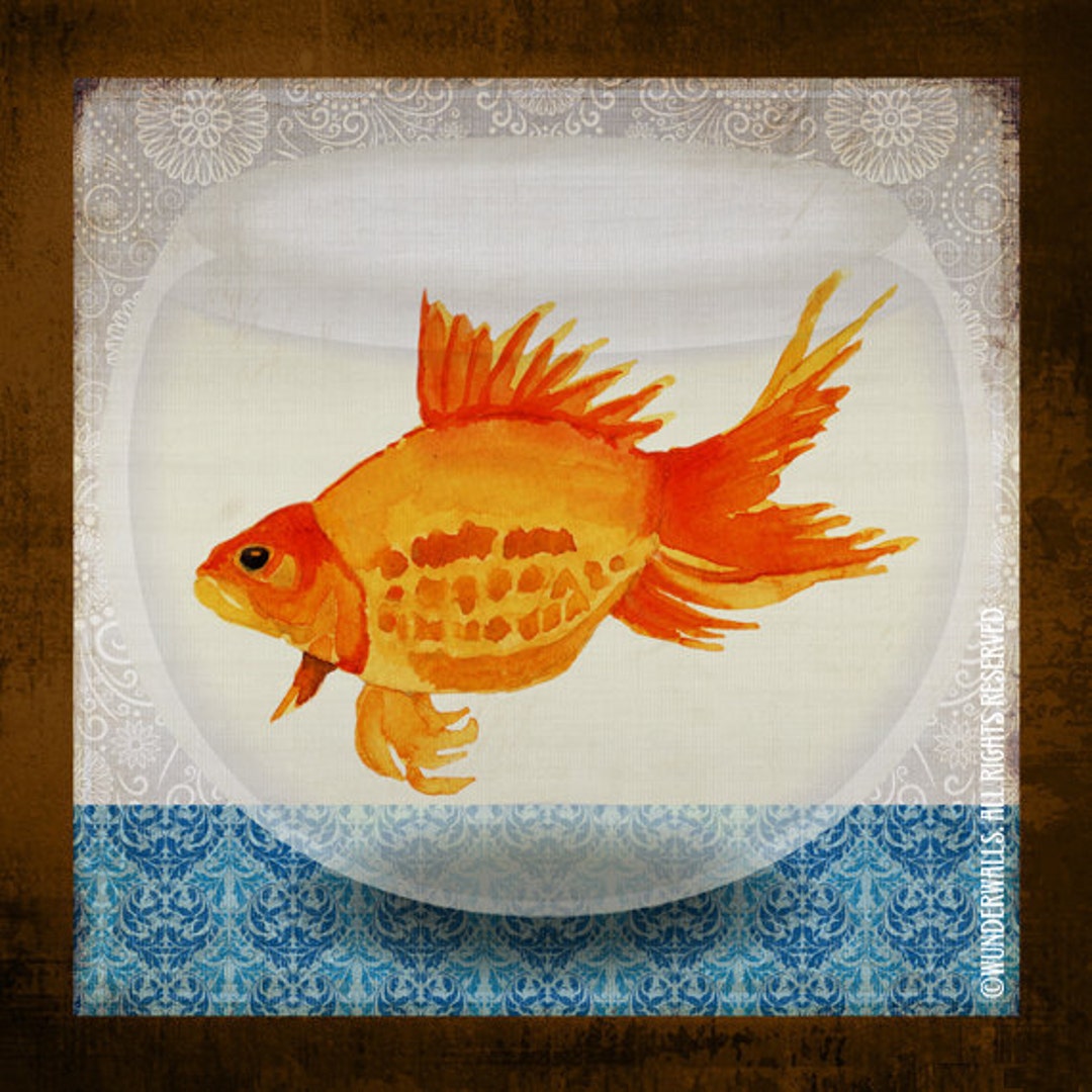Goldfish Colorful Bright Gold Large 20" X 20" Canvas-wrapped Frame ...