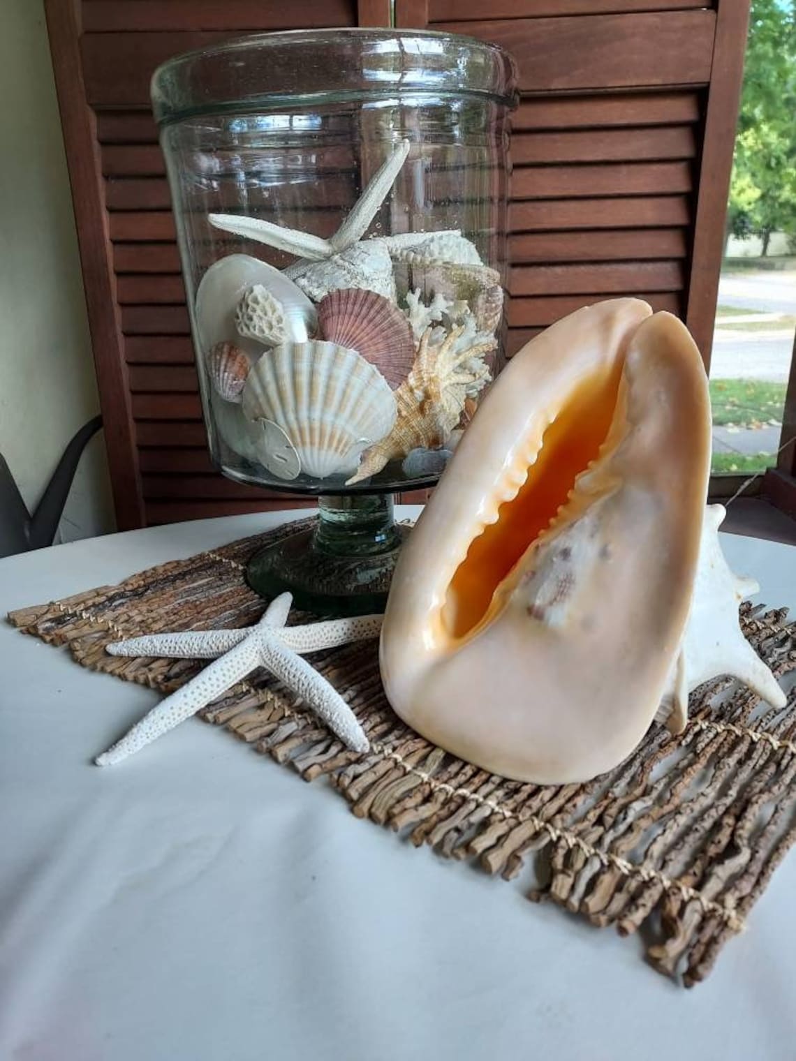 Emperor Cameo Shell Horned Helmet Shell Top Prize by - Etsy