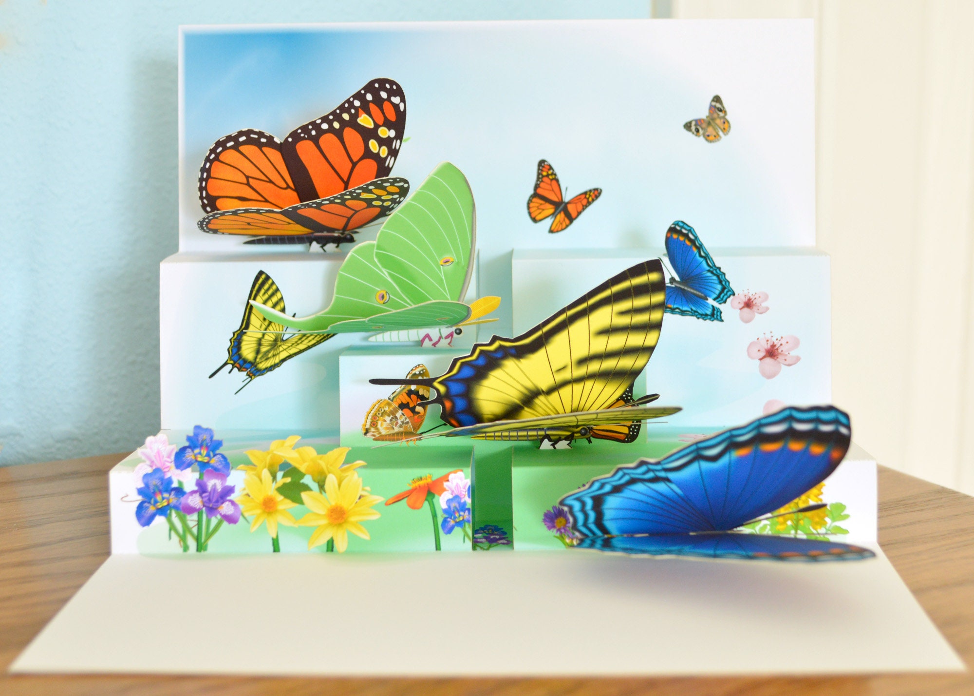 Butterfly pop-up Card Any occasion card Four pop-up | Etsy