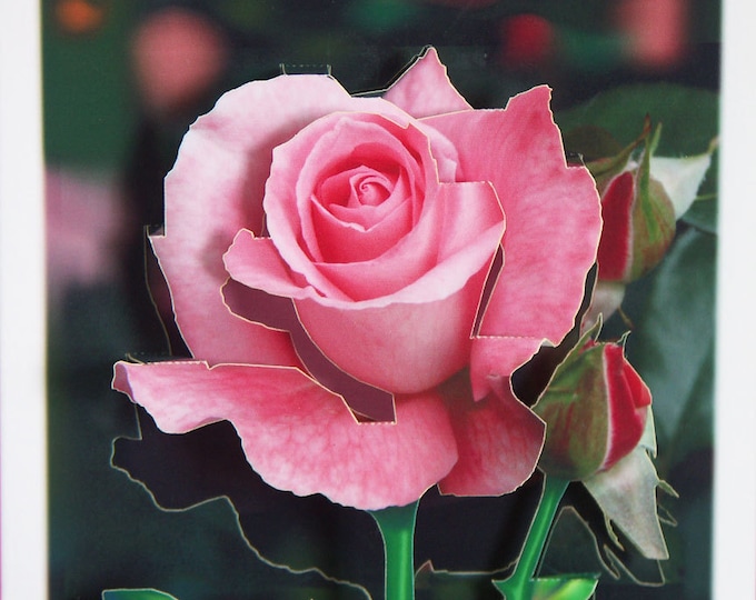 Pop up Pink Rose Card Any Occasion Popup Card Smell the Roses - Etsy