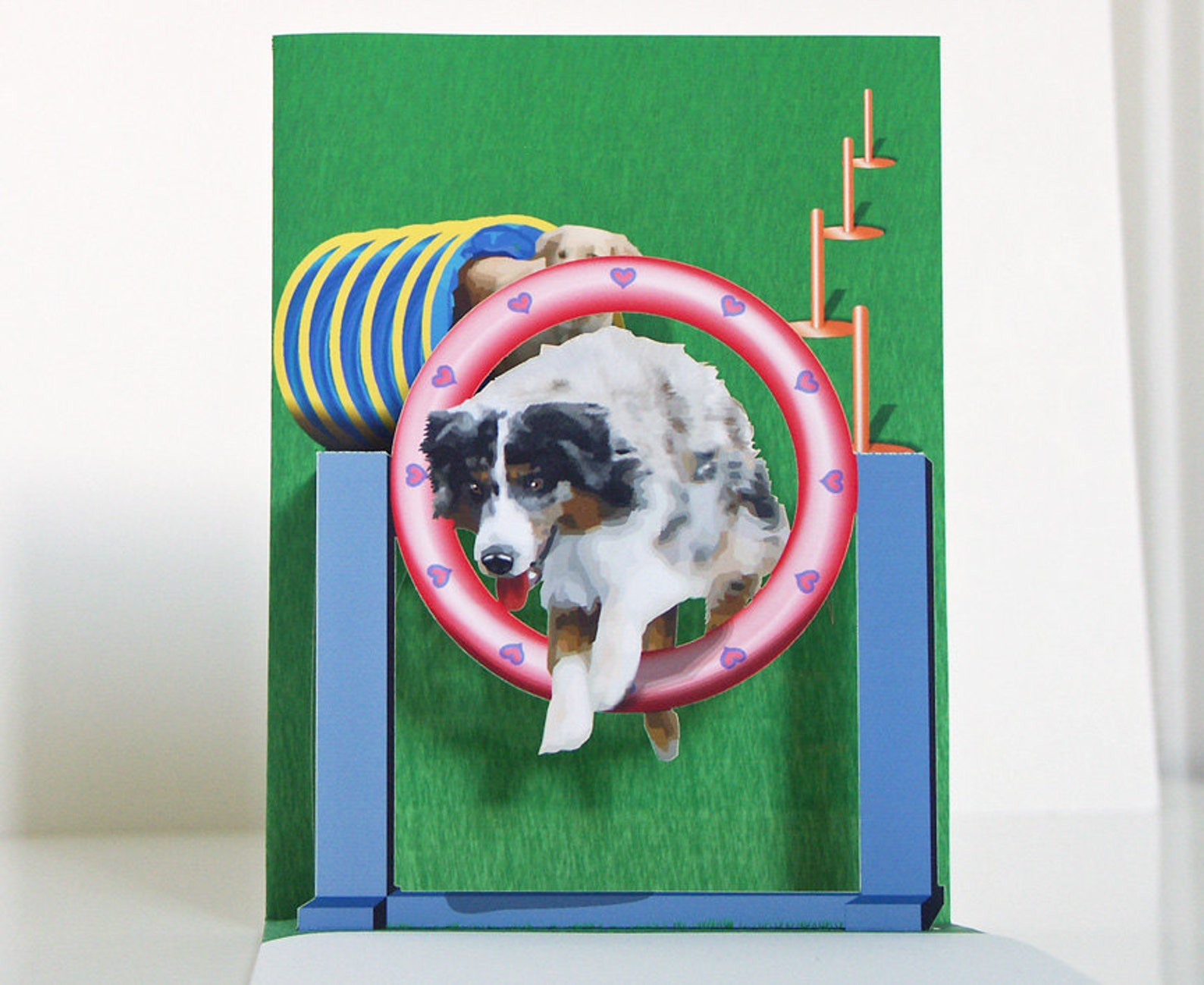 Agility Dog Pop up Card Any Occasion - Etsy
