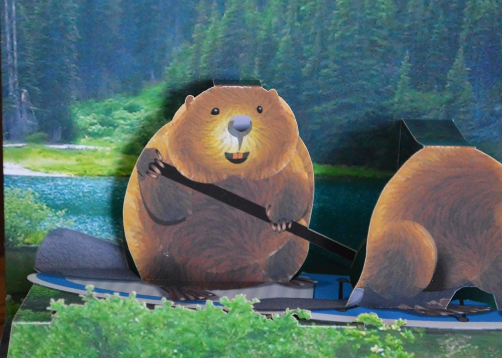 Beaver Pop-up Card Popup Beavers Paddling a SUP Beavers Having Fun 3D ...
