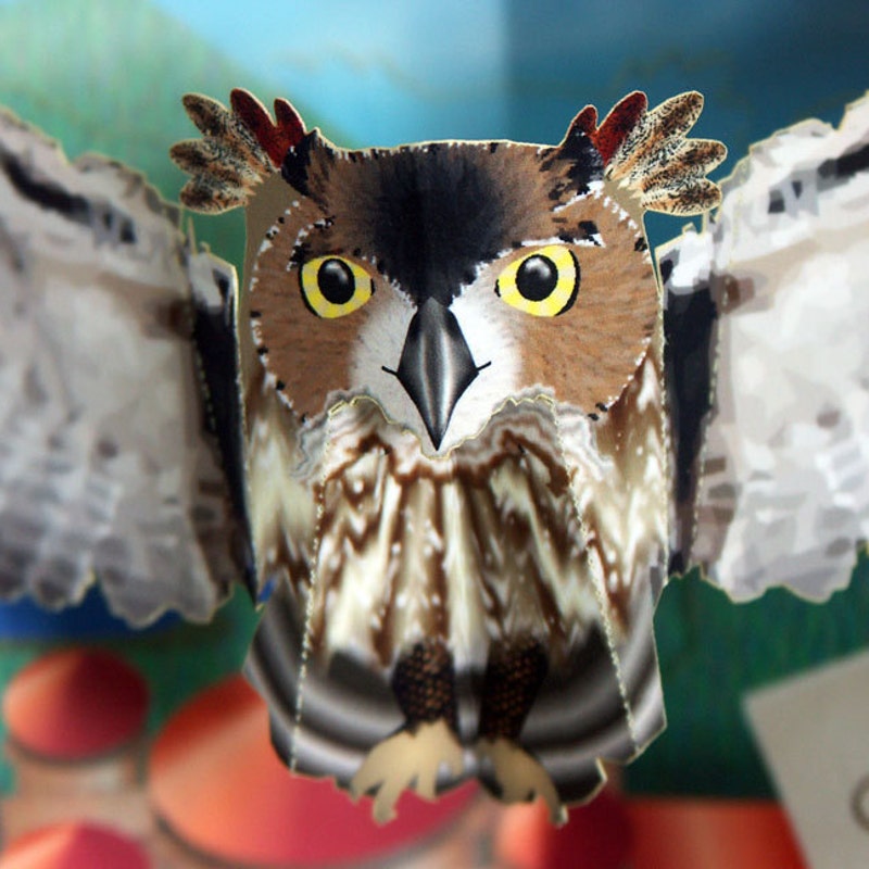 Owl Birthday Card - Etsy