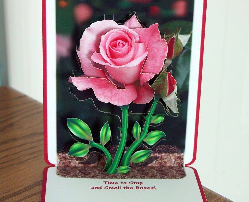 Pop up Pink Rose Card Any Occasion Popup Card Smell the Roses - Etsy