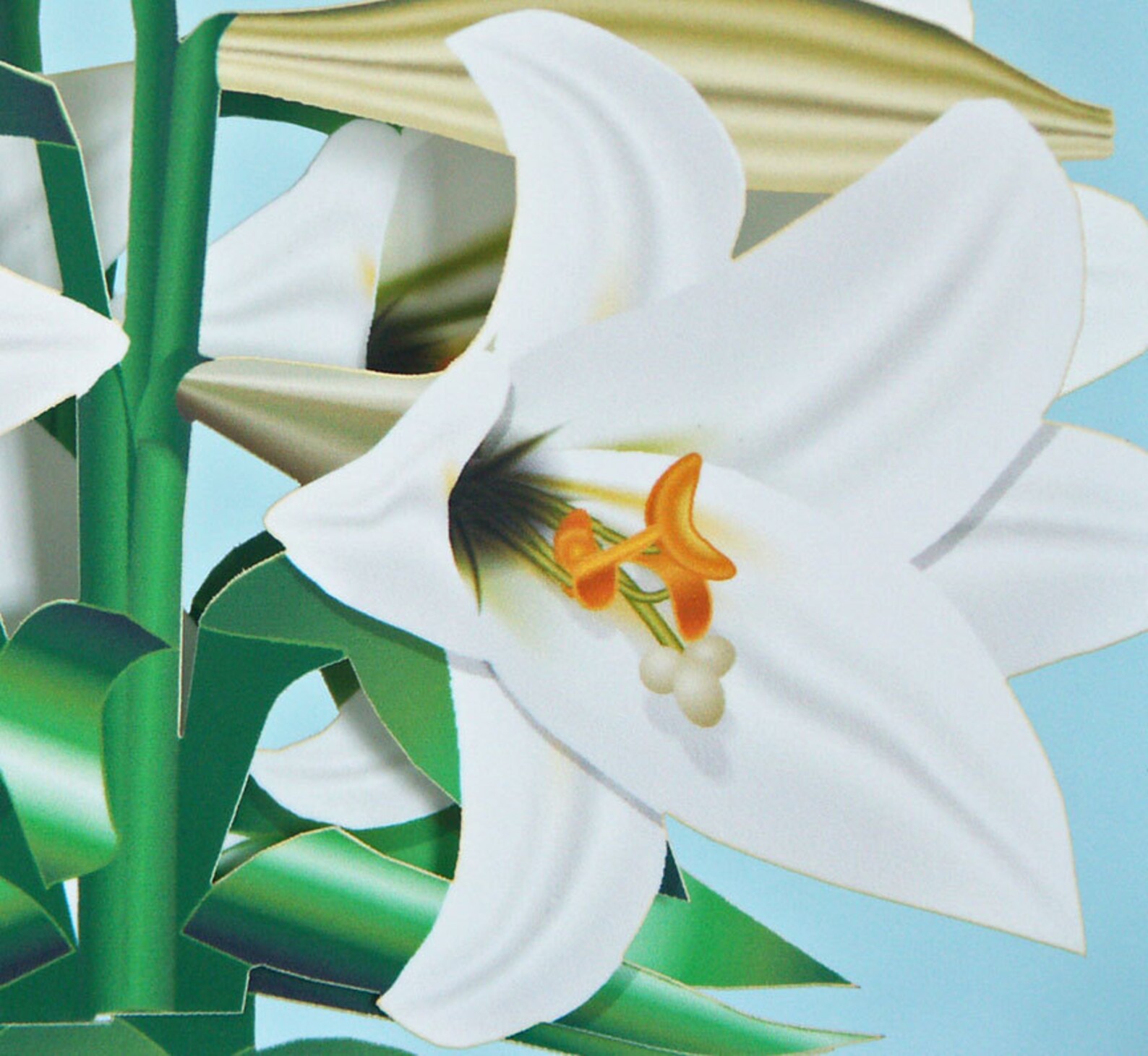 3D White Lily Card, Popup White Lilies, Pop-up Flower Card - Etsy