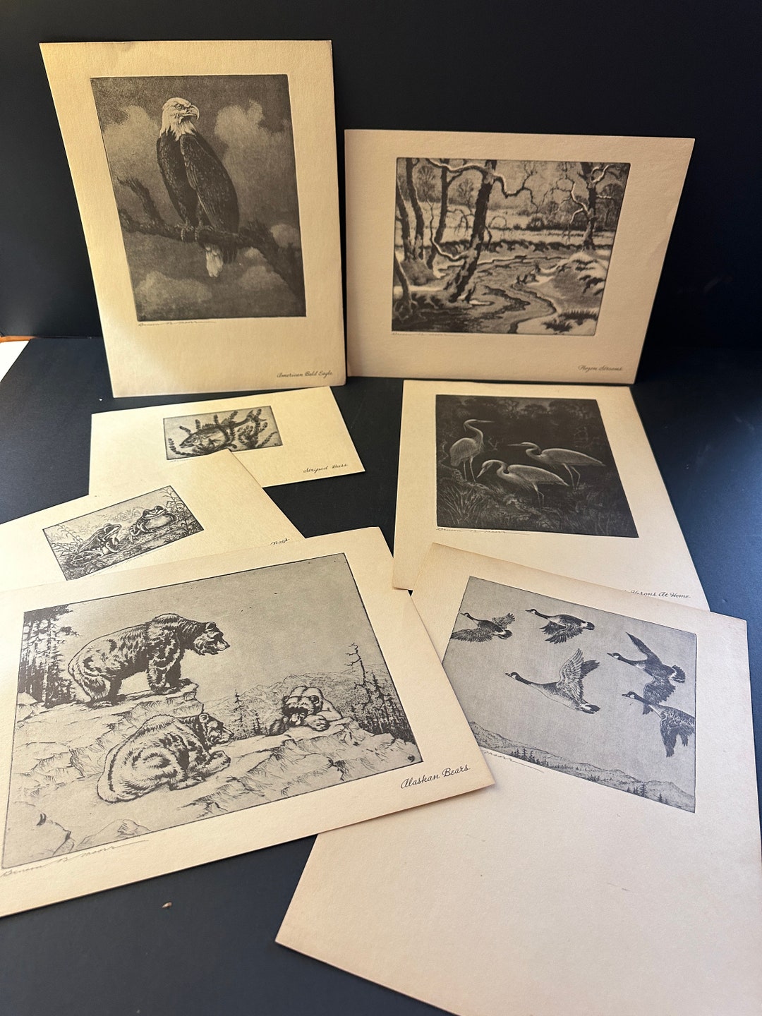 Vintage Etching Reproduction Collection Benson Bond Moore Nature Magazine Portfolio - Etsy