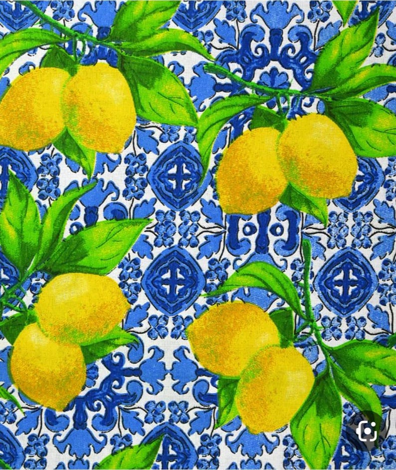 Flat Padded Pouch - Sicilian Lemons - Etsy