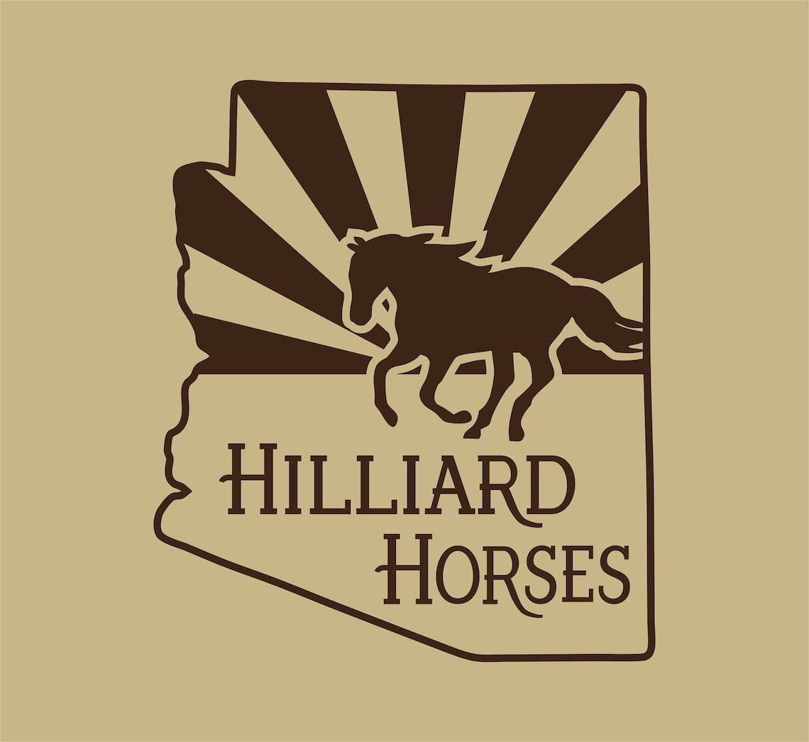 Custom Western Logo Western Logo Design Service by Xcalibur - Etsy