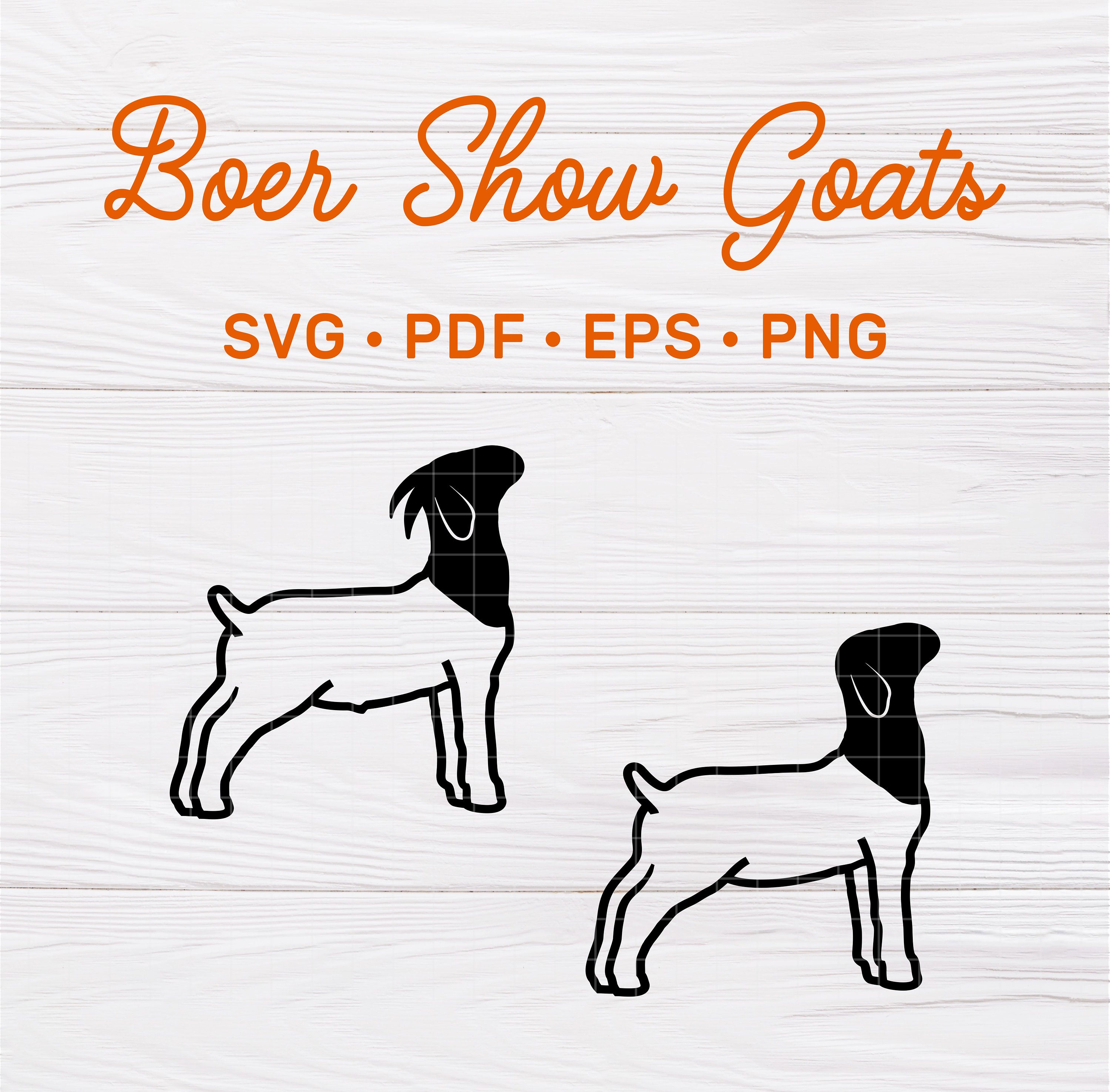 SVG PDF EPS & Png File Boer Show Goat Svg Polled Show - Etsy Canada