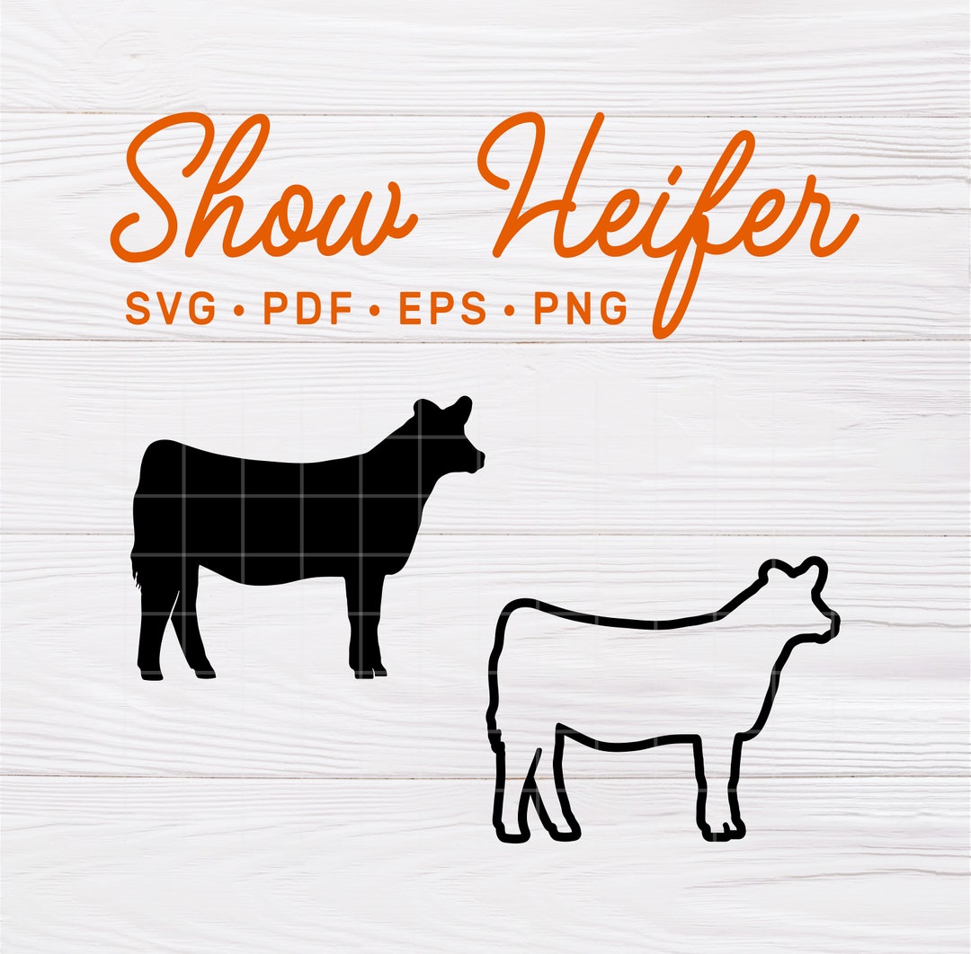SVG, PDF, EPS, & Png Files | Show Heifer Svg, Show Calf Svg, Simmental ...