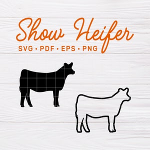 SVG, PDF, EPS, & Png Files | Show Heifer Svg, Show Calf Svg, Simmental Show Heifer Craft File ...