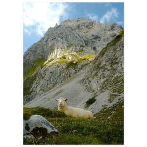 Dragon Head Mountain Poster | Cute Sheep Alps Print | Austrian Alps ...