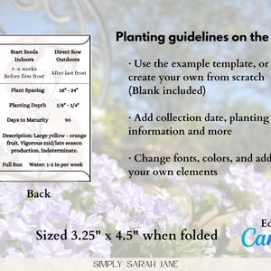 Printable Seed Packet Template for Canva | Editable DIY Seed Storage ...