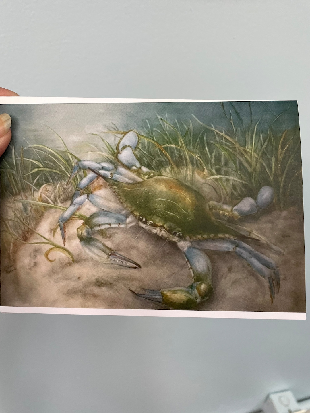 Maryland Blue Crab Note Cards - Etsy
