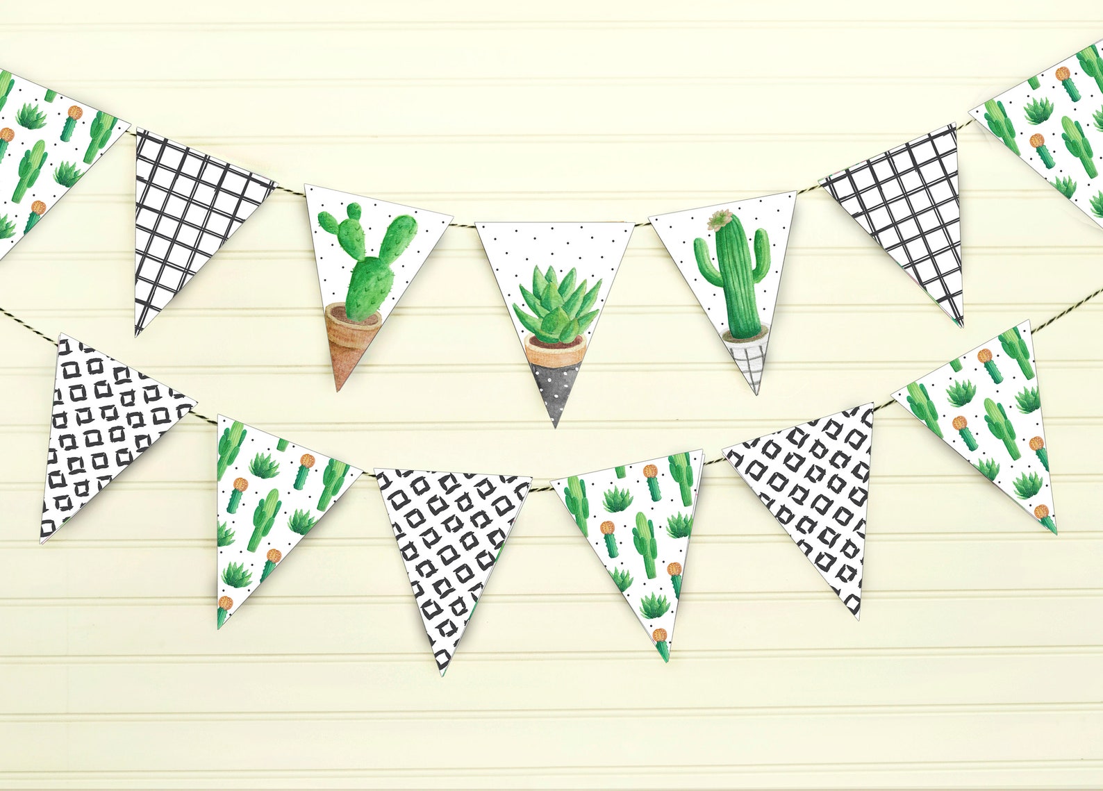Desert Cactus Birthday Party Neutral Birthday Decoration | Etsy