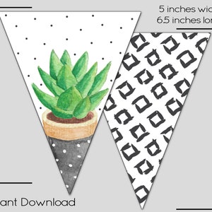 Desert Cactus Birthday Party - Neutral Birthday Decoration - Succulent ...