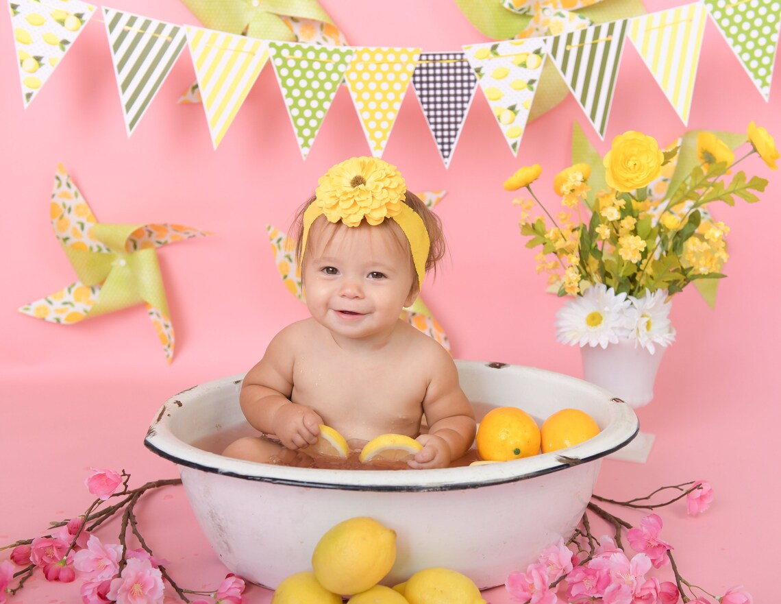 Lemon Birthday Party Lemonade Party Decor Lemon Bunting | Etsy