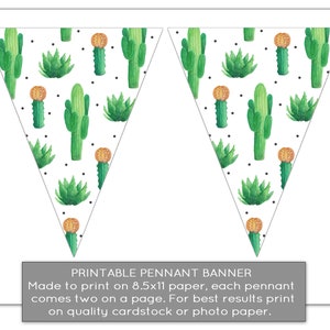 Desert Cactus Birthday Party - Neutral Birthday Decoration - Succulent ...