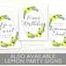 Lemon Pennant Banner - Lemonade Garland - Lemon Bunting - Summer Banner ...