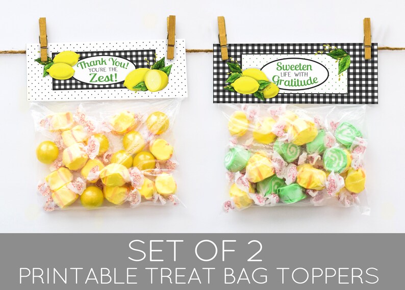 Lemon Party Favors Lemonade Birthday Lemon Bridal or Baby - Etsy