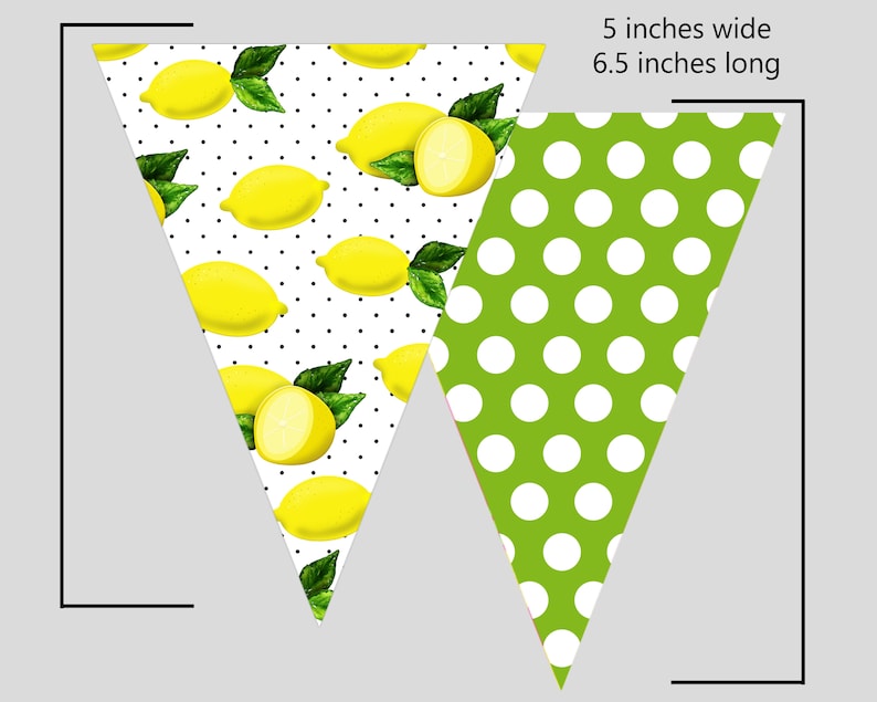 Lemon Pennant Banner Lemonade Garland Lemon Bunting - Etsy