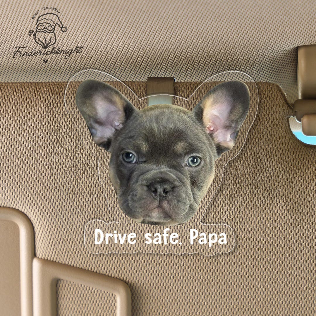 Personalized Pet Portrait Car Visor Clip, Decoration Acrylic Car Vent ...