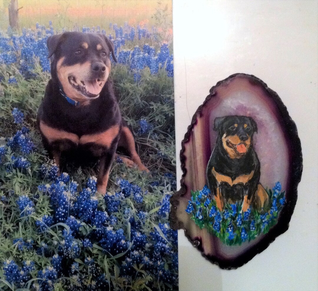 Custom Animal Portraits on Agate From Your Photo - Etsy