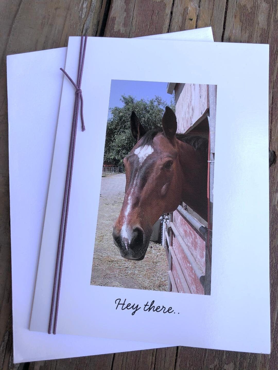 Thank You Card Horse Greeting Cards Photo Notecard Horse - Etsy