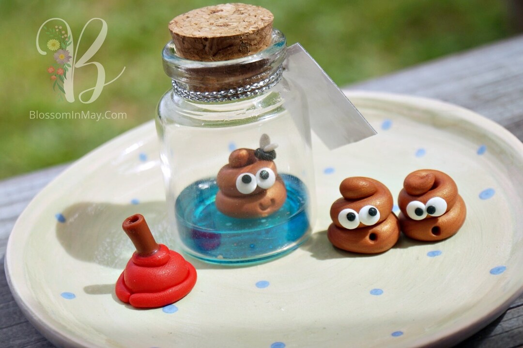 Miniature Poop in a Jar of Faux Resin Water Mommy Daddy - Etsy