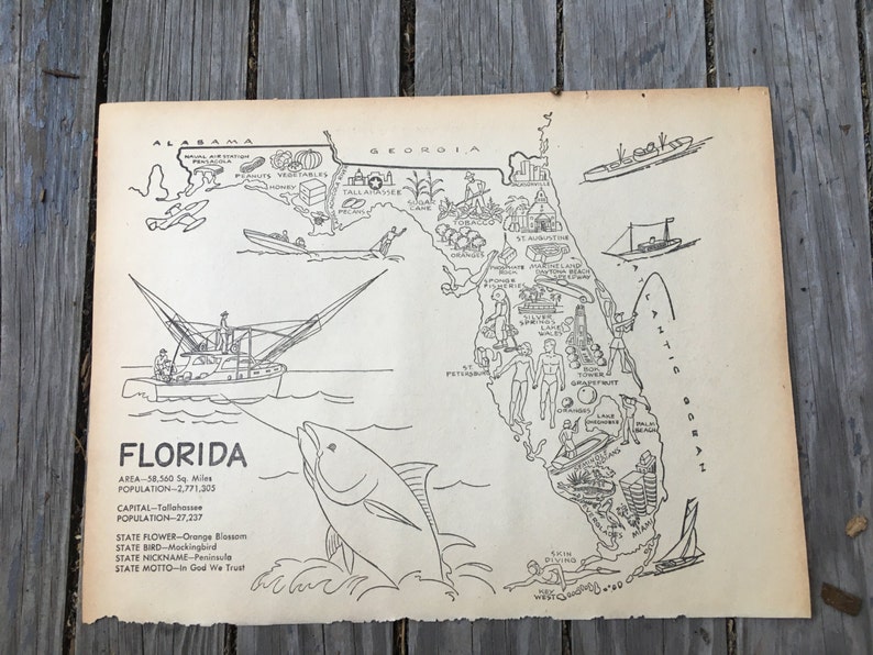 Vintage Florida Map Print: 1950s Coloring Book Illustration - Etsy