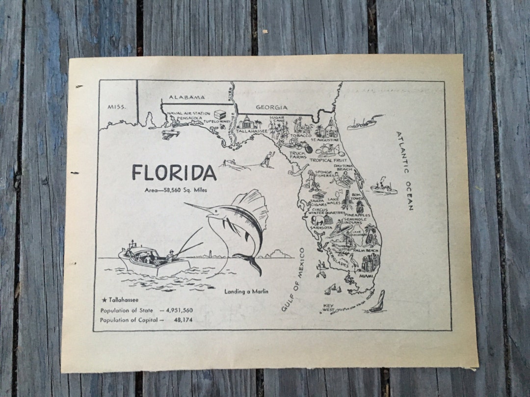 Vintage Florida Map Print: 1950s Coloring Book Illustration - Etsy