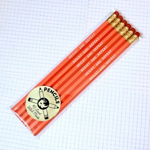 Resist and Repeat Pencils Protest Gift, the Future is Female, Feminist ...