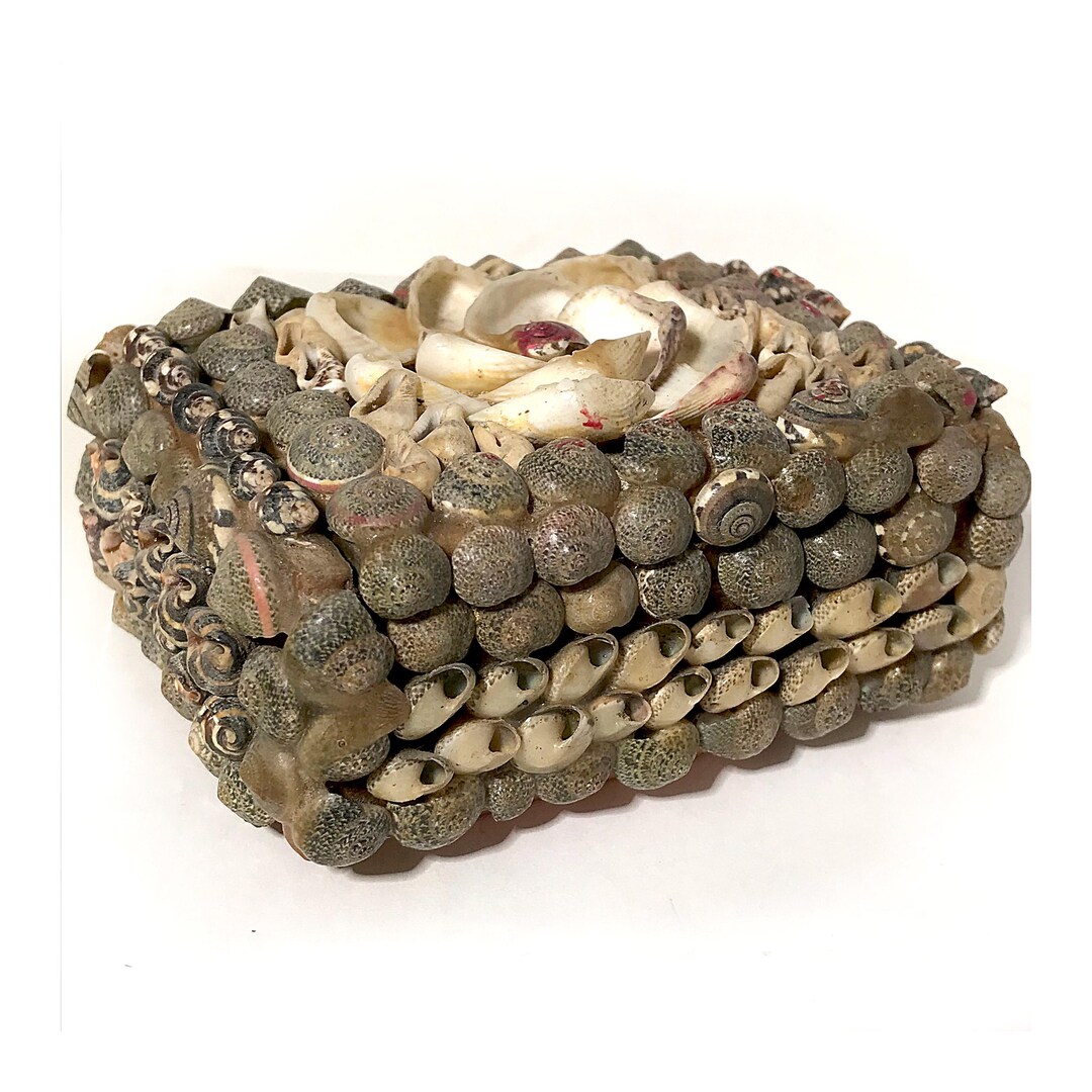 Vintage Shell Trinket Jewellery Box -artisan Handmade Keepsake Hinged ...