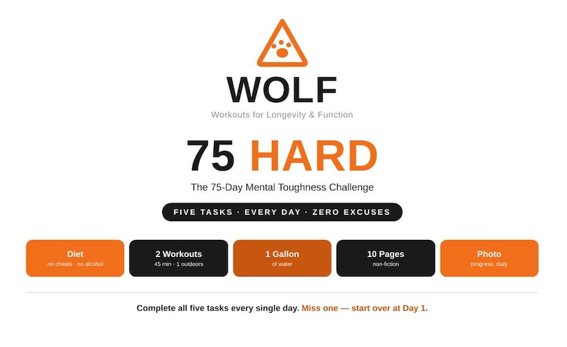 75 Day Challenge Tracker Printable, Habit Fitness Journal (PDF) - Etsy