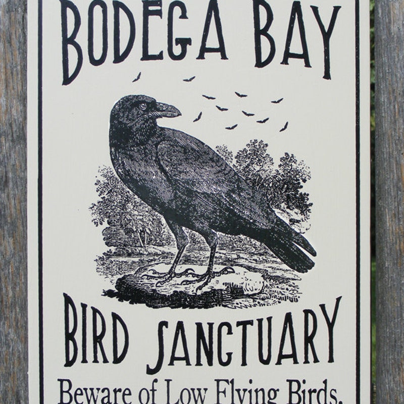 Bird Sanctuary - Etsy